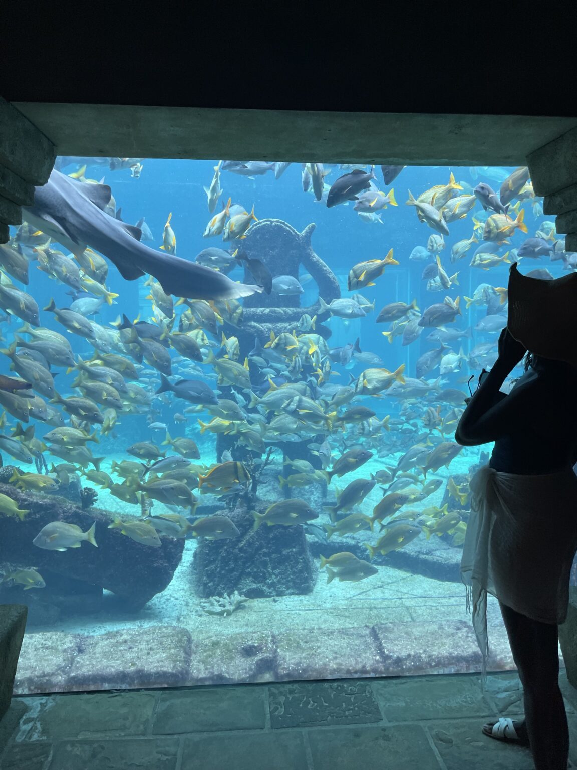 Bahamas Travel Itinerary - GDPharmD